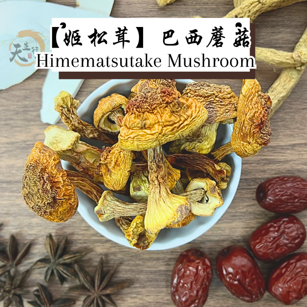 【100G】Agaricus Blazei Mushroom / Brazil Mushroom 巴西蘑菇（Blazei姬松茸 ...