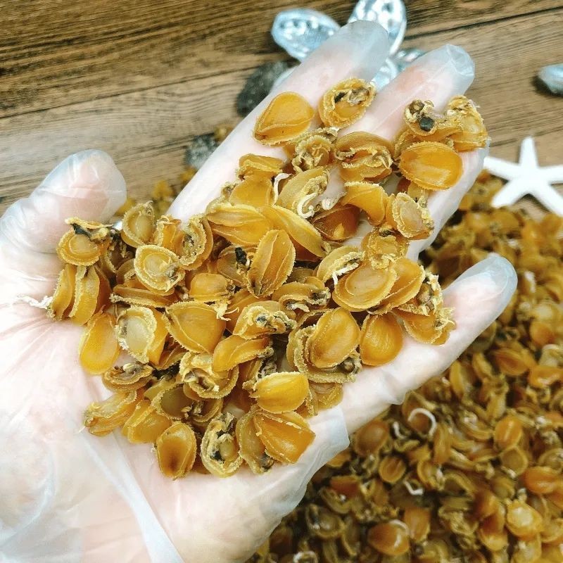 Baby Congee Fresh Dried Small Abalone Wild Fresh Dried Small Abalone ...