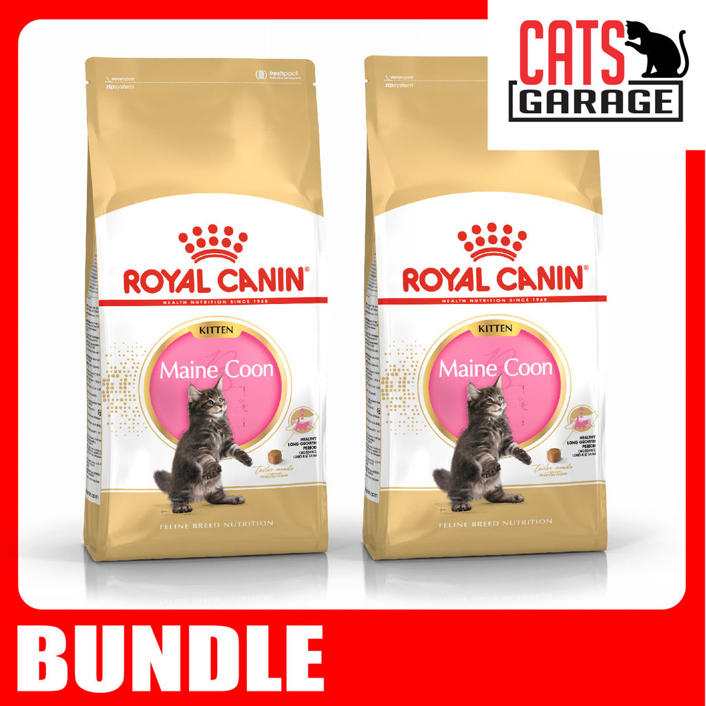 Royal Canin Feline Kitten Maine Coon Cat Dry Food 400g | Shopee Singapore