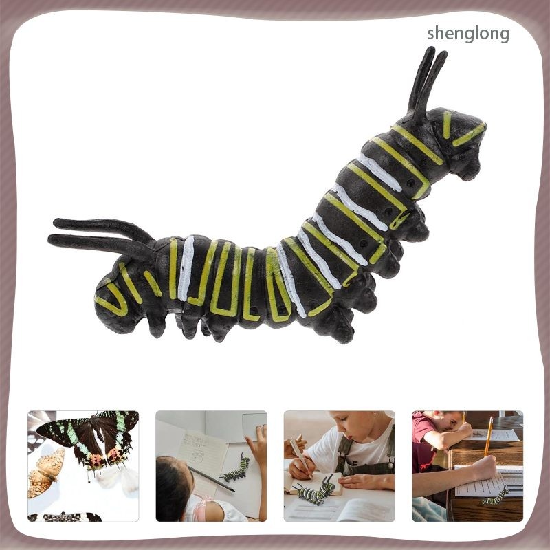 Toys Animal Model Caterpillar Display Models Plastic Kids Educational ...