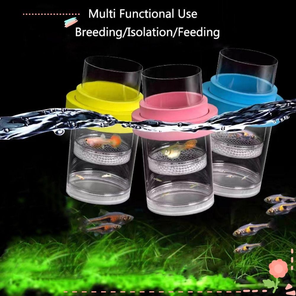 PEONIES Floating Hatching Box, Plastic Mesh Aquarium Breeder Floating ...