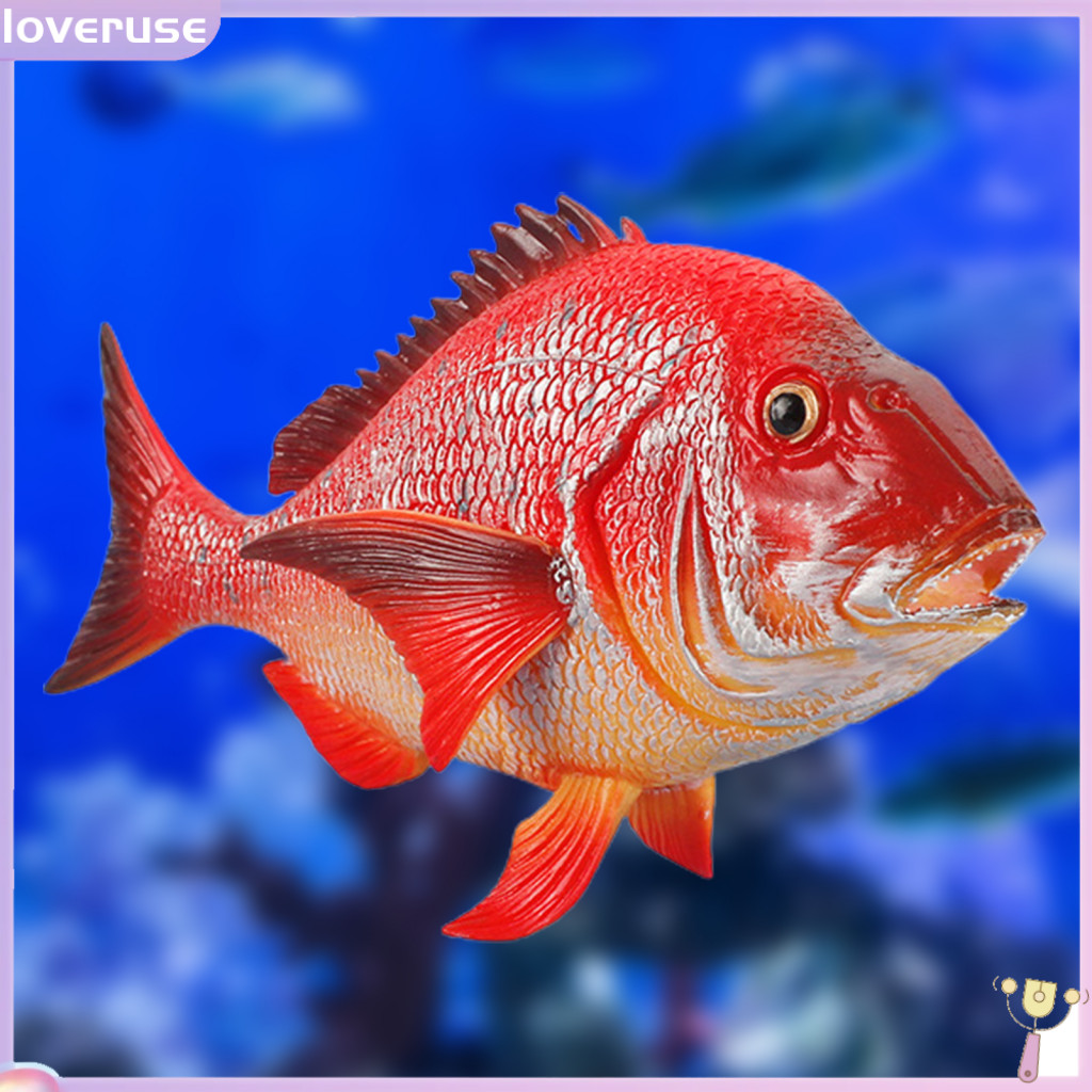 /LO/ Gift Oceans Animal Model for Aquarium Stone Snapper Cheilinus ...