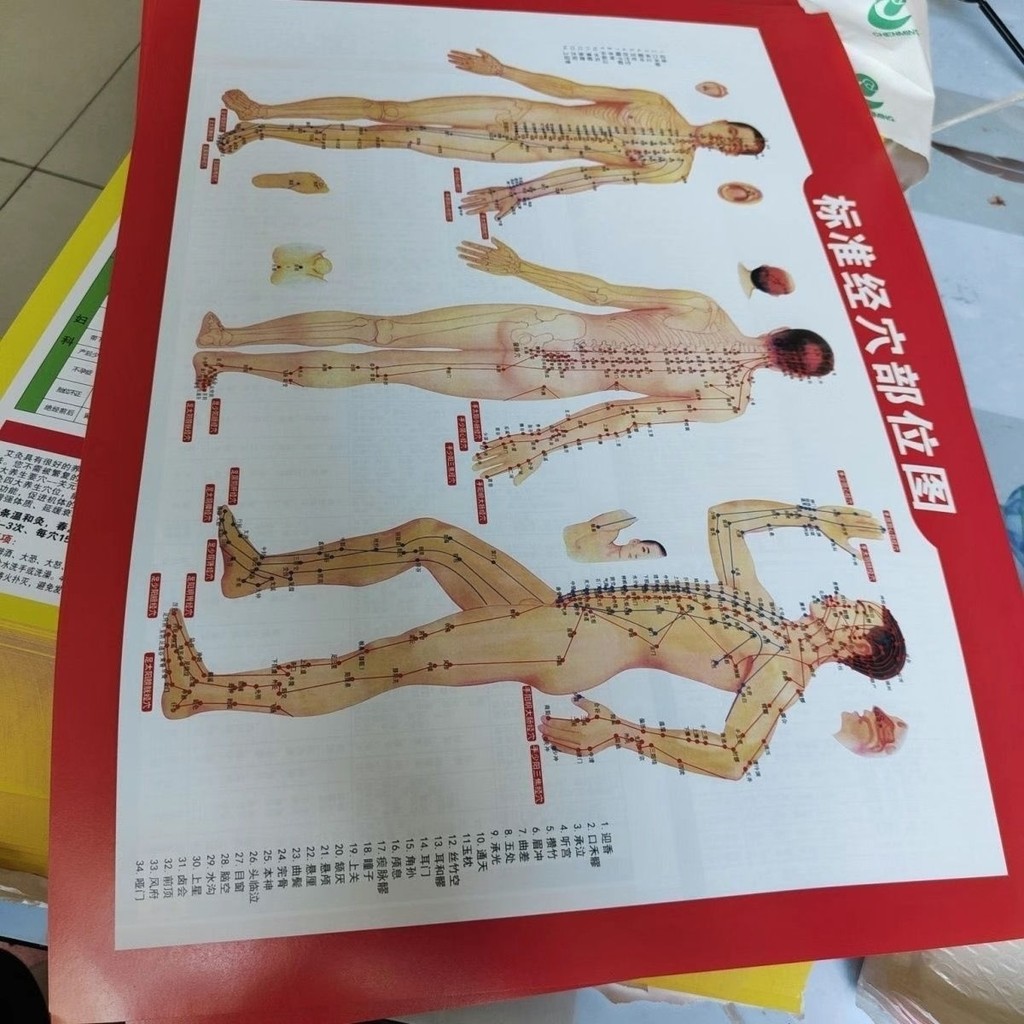 Standard Human Body Meridian Acupuncture Map Household Whole Body Wall ...