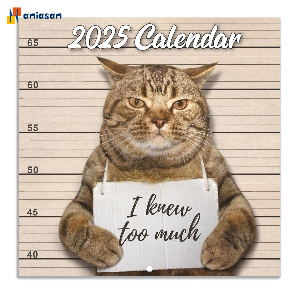 (aniasan) Extra-large Daily Blocks Cat Calendar Funny Cat Memos Calendar 2025 Funny Cat Calendar ...
