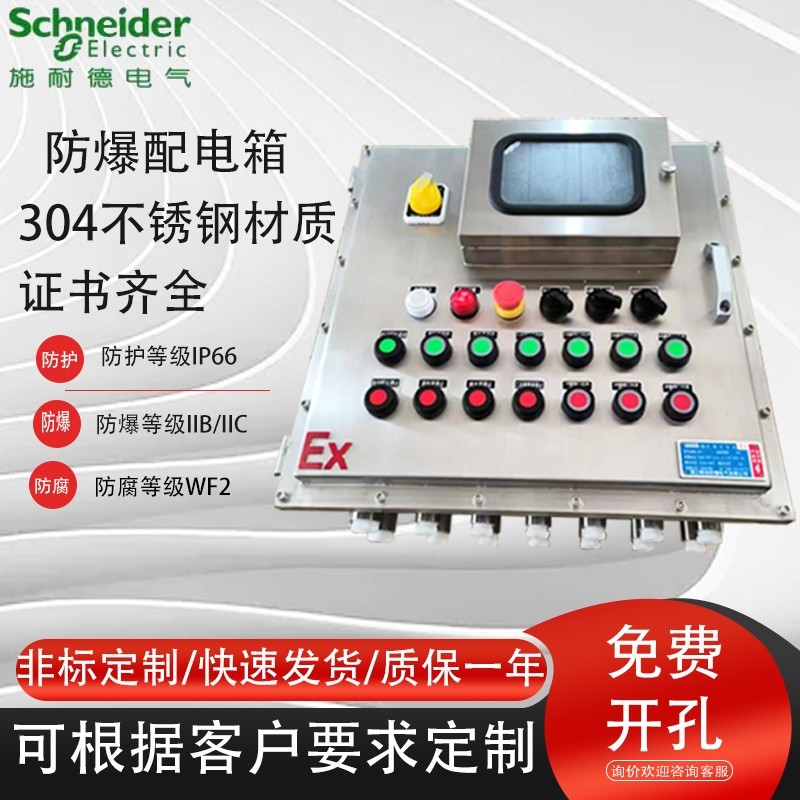 Schneider Explosion-Proof Lighting Power Distribution Box Distribution ...