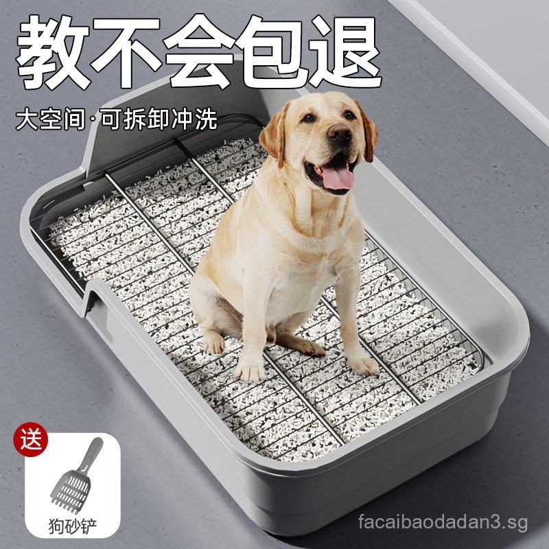 Dog Toilet Extra Large Anti-Splash Slanted High Fence for Small and ...