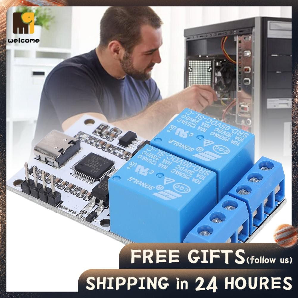 Welcomehome 2 Channel USB Relay Module 5V 10A Microcontroller TYPE C ...