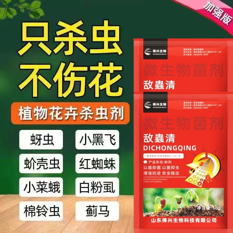 Crab Claw Orchid Insecticide Crab Claw Orchid Insecticide Succulent ...