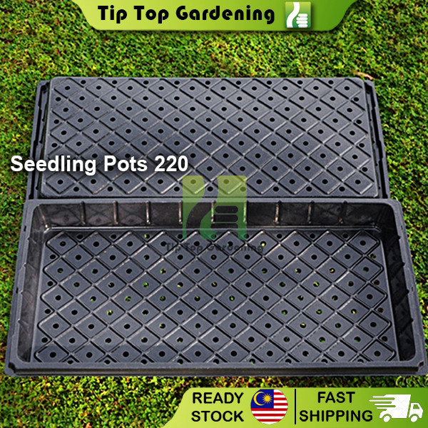 Dulang Semaian Bekas Benih / Seedling Pots 220 Nursery Tray Seedling ...