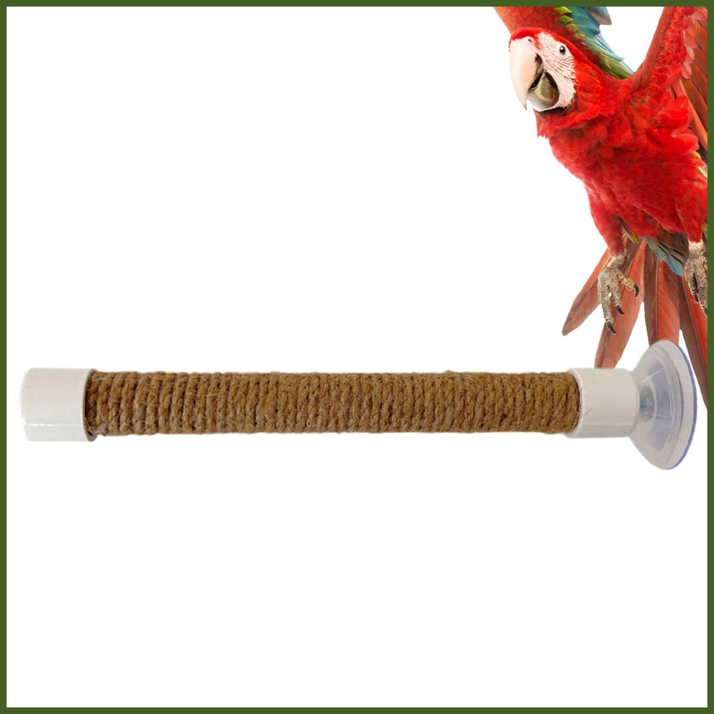 Bird Window Perch Parakeet Training Stand Suction Cup Toy Cage Training ...