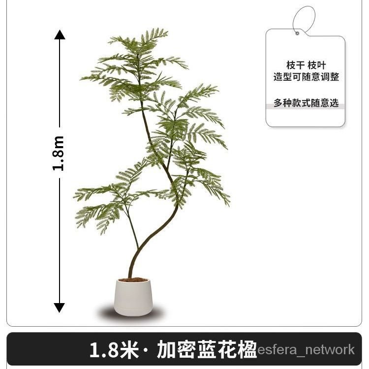 Jacaranda Mimosifolia Imitative Tree Green Plant Large Potted Living ...