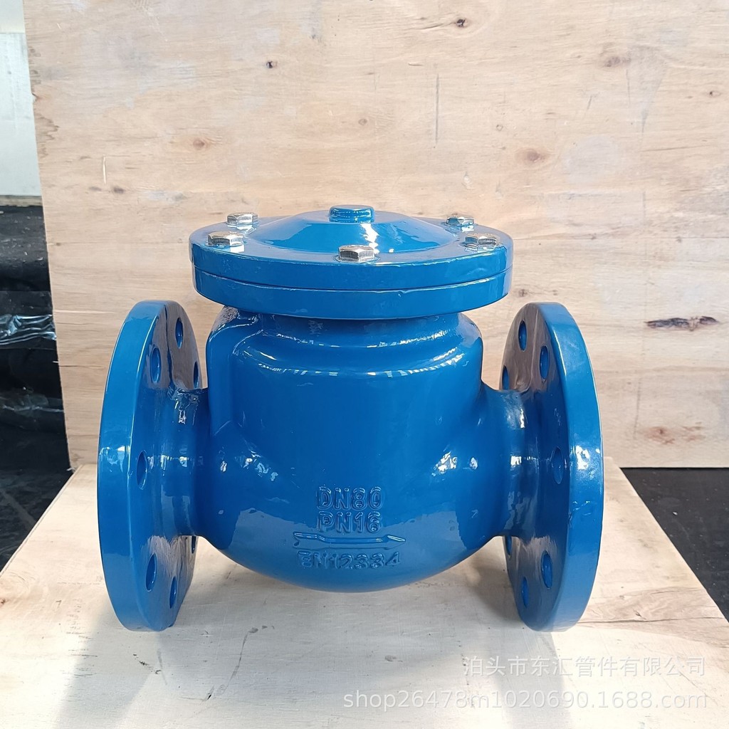 Swing Check Valve H44T Cast Iron Hard Seal Lift Type National Standard ...
