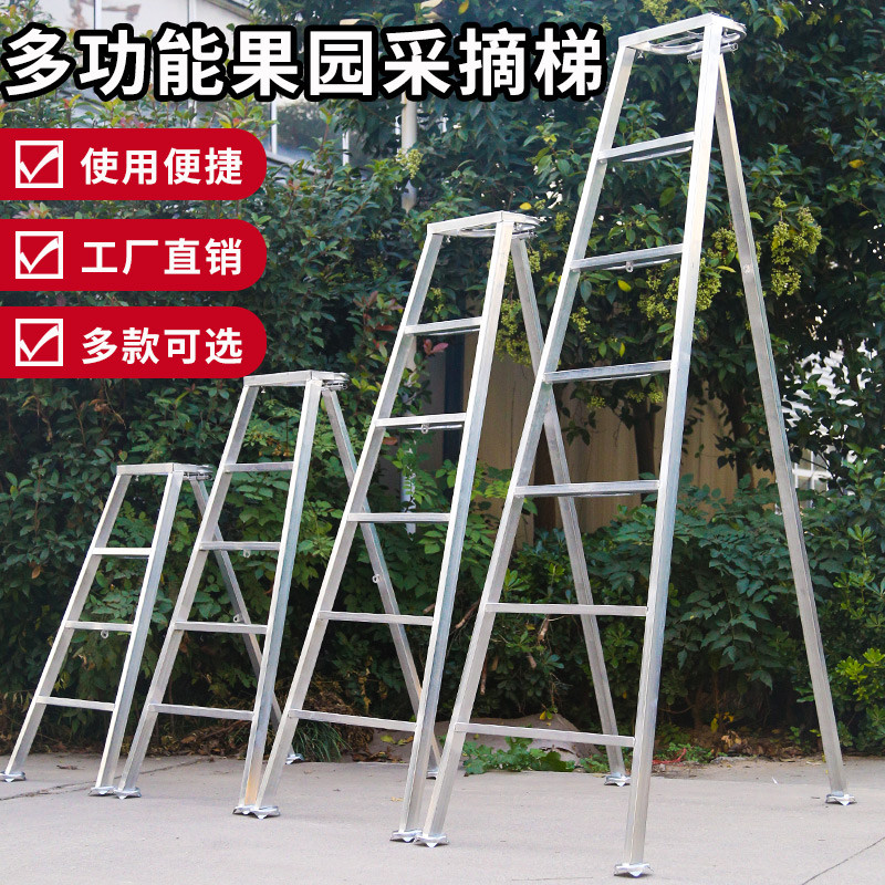 Mountainous Orchard Picking Pruning Ladder Storage Ladder Gardener's ...