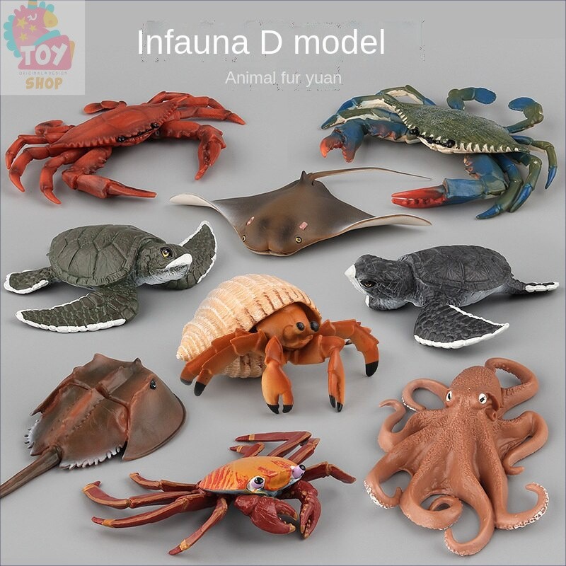 Simulation Sea Life Model Octopus Sea Turtle Ornaments Hermit Crab ...