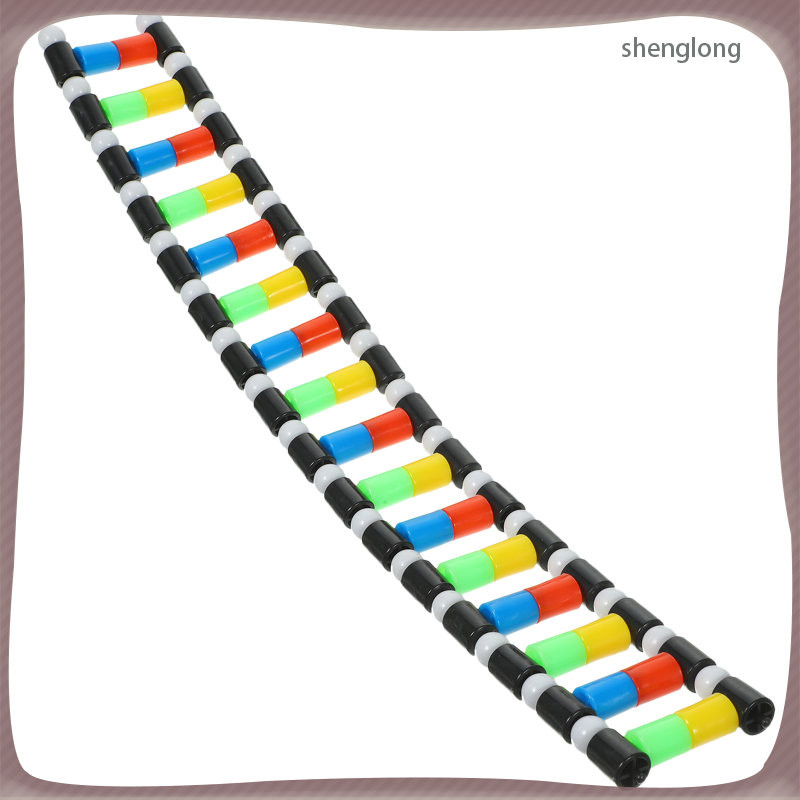 Biological Teaching Aids Model Color-coded Nucleotides Dna Kit for ...