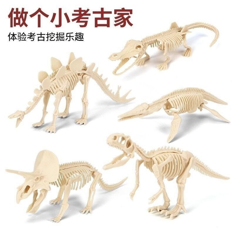 Dinosaur Fossil Assembly Dinosaur Skeleton Model Archaeological Toy ...