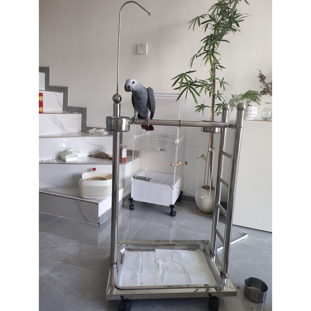 Parrot Bird Pet Bird Stand Stainless Steel Stainless Steel Ladder Stand ...