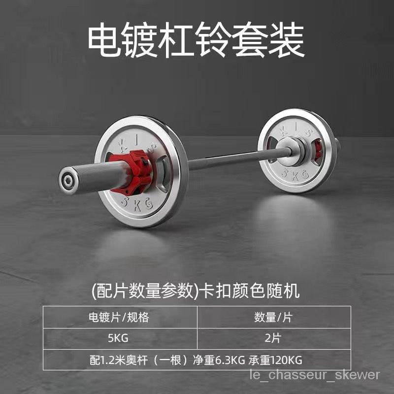 Electroplating Olympic Pole Dumbbell Barbell Disk Cast Iron Large Hole ...