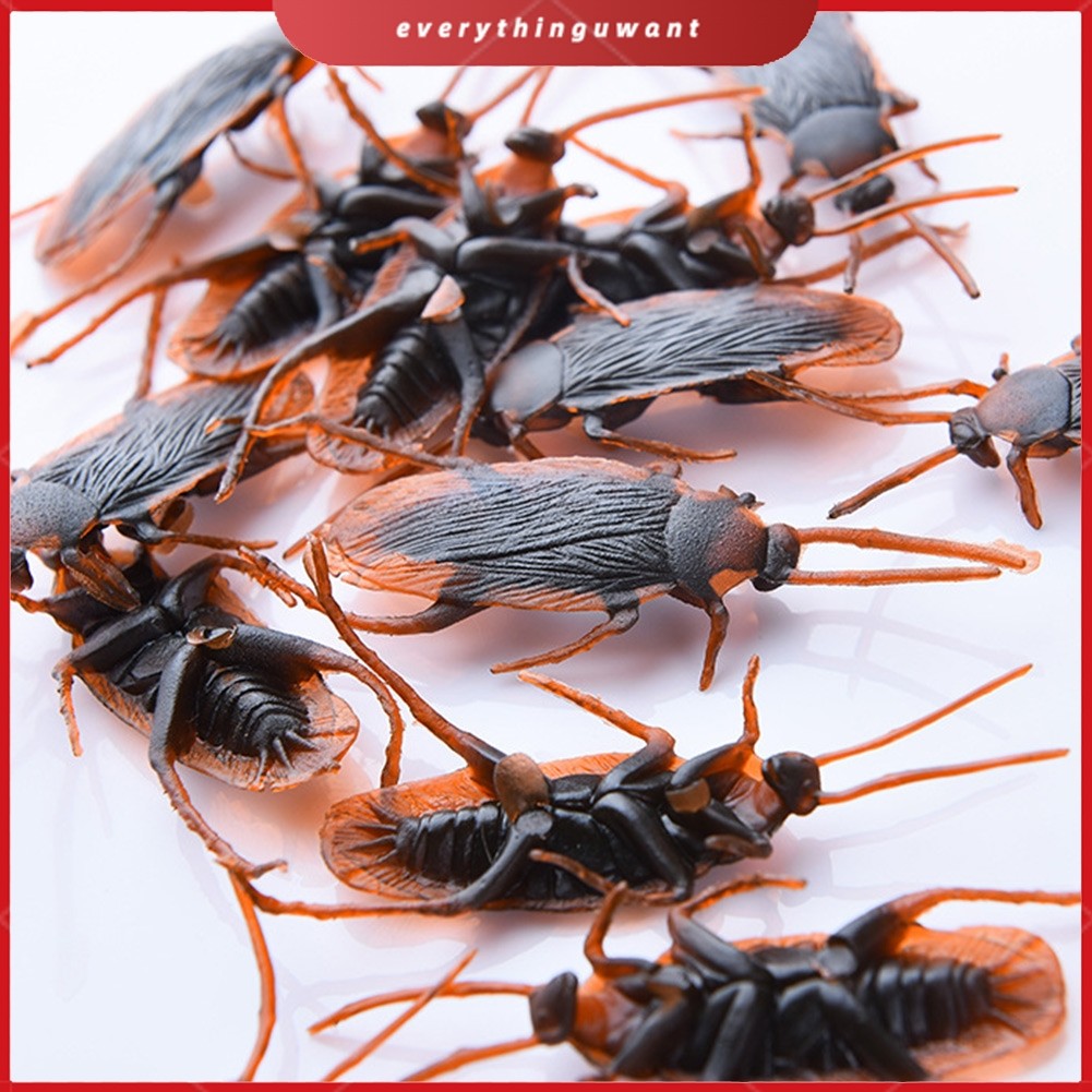 Prank Cockroaches Joke Cockroach Funny Prank Fake Cockroaches Toy for ...