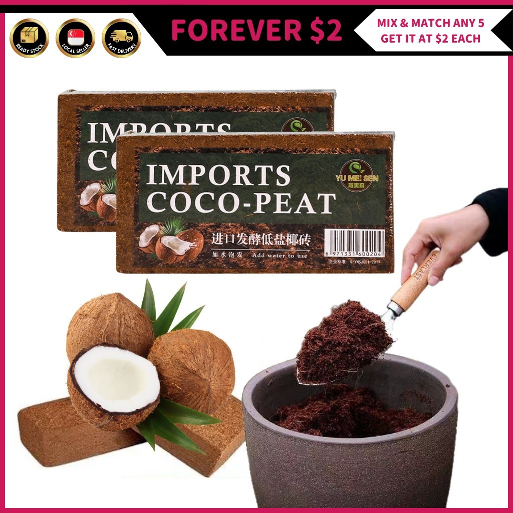 (FOREVER $2) Compressed Coco Peat Block Brick Plant Soil Vegetable ...
