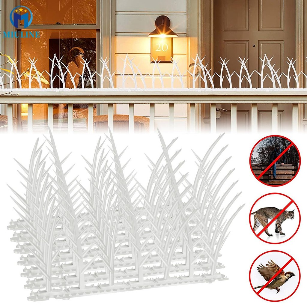 6Pcs Bird Spikes Anti Bird Spikes Reusable Plastic Bird Deterrent ...