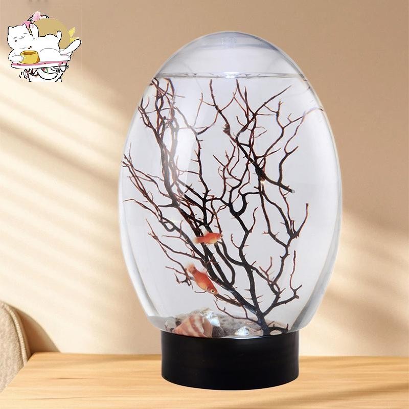 Fish Tank with LED Light Desktop Aquarium Self Sustaining Ecosystem ...