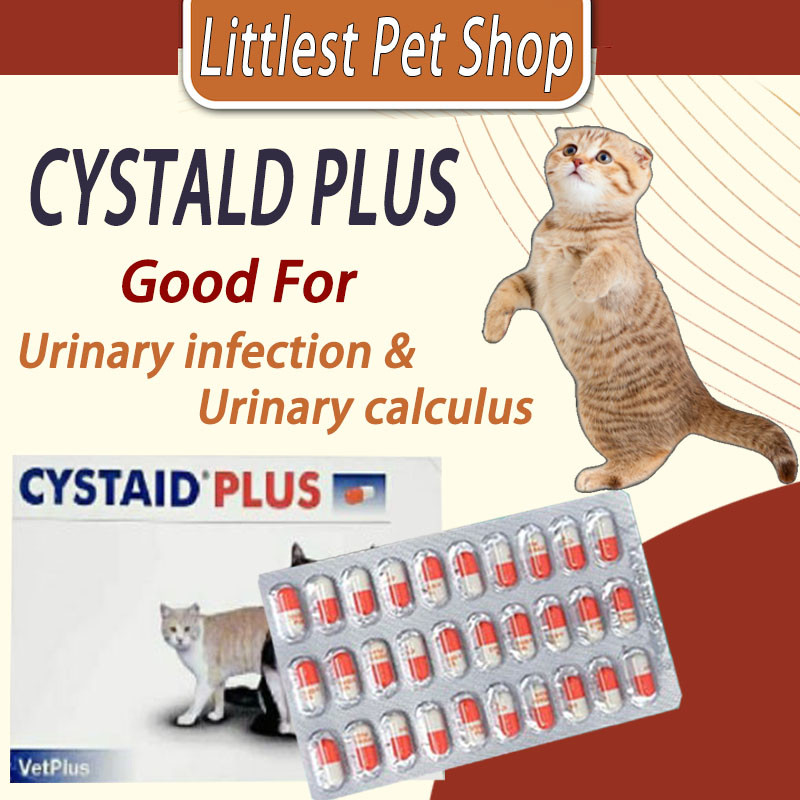 VetPlus Cystaid Plus Urinary Tract Supplement for cats pet bladder ...