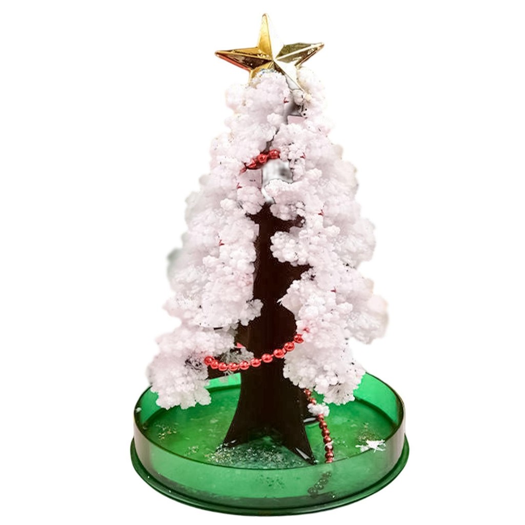 Kids Magic Growing Christmas Tree Flowering Magic Growing Paper Tree ...