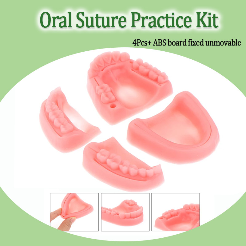 Medical Dental Oral/Gum Suture Training Module Clamp Hemostatic Forceps ...