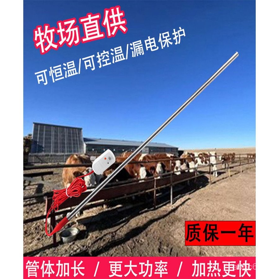 Automatic Heating Rod for Water Tanks and Buckets with Constant ...