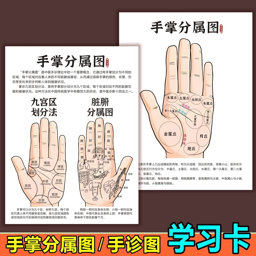 Ten Fingers Nine Palms Hand Diagnosis Reference Guide Traditional ...