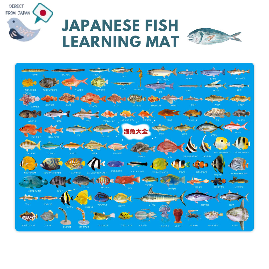 Japanese Fish Learning Mat for Kids - Waterproof, Plastic Board ...