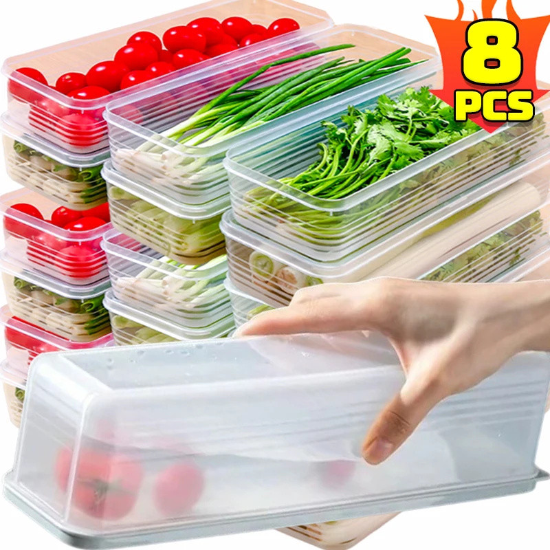 Transparent Rectangular Spaghetti Sealed Organization Case- Plastic ...