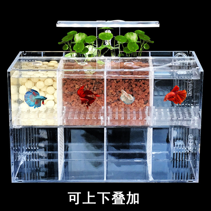 Betta Tank Breeding Incubation Isolation Box Change Water Desktop Small ...