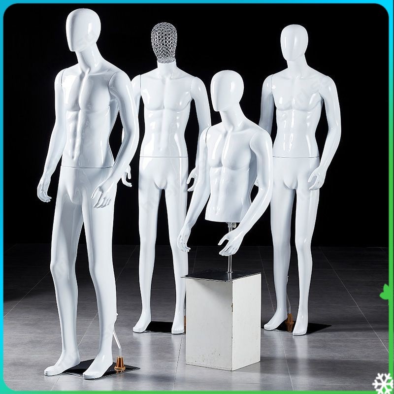 Model props model male props human body full-body dummy plastic ...