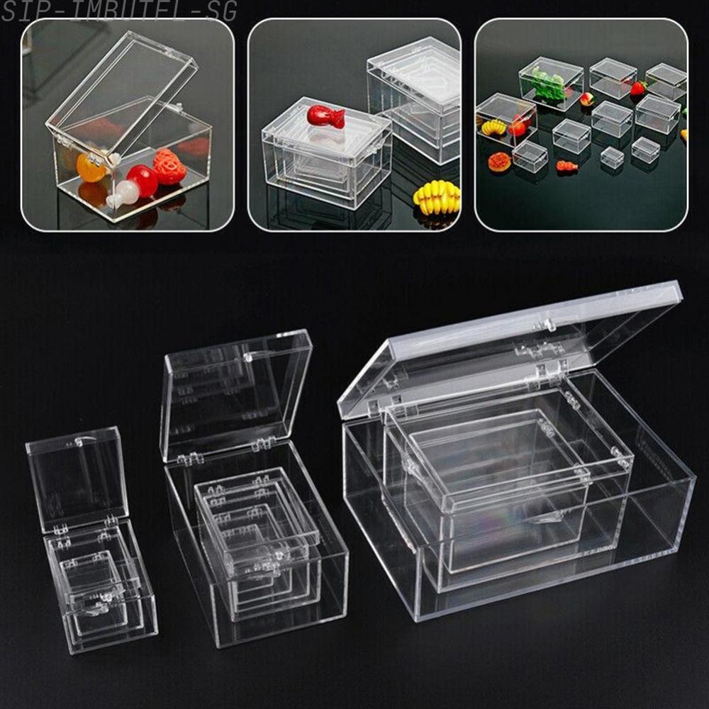 Transparent Plastic Storage Case for Insect Specimen Display ...