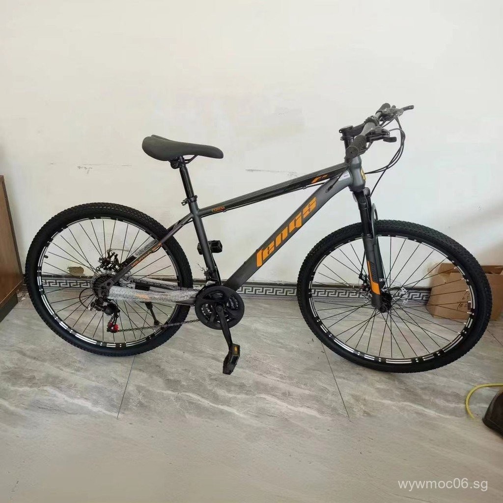 Phoenix Wind Adult Bicycle Bank Gift24/26Inch Variable Speed Grid ...
