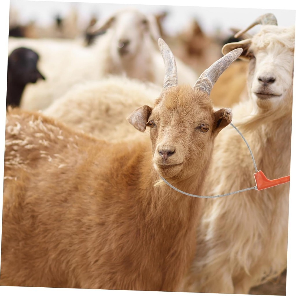 60cm Wire Rope Catching Goat calf reindeer adjustable Wire Steel Neck ...