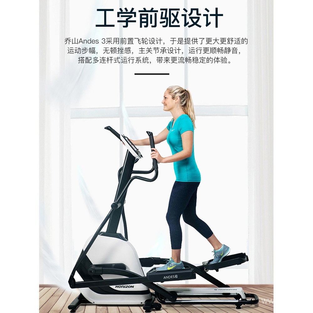 Johnson ANDES 3Elliptical Machine Home Use Elliptical Trainer Magnetic ...