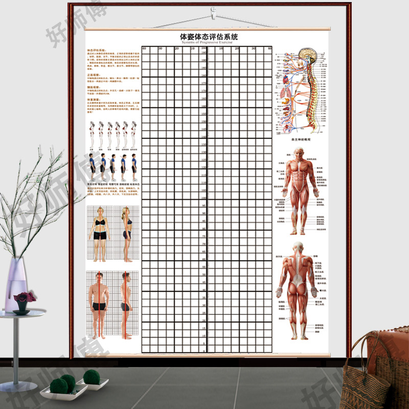 In Stock Posture Assessment Chart Gym Wallpaper Yoga Studio Traditional ...