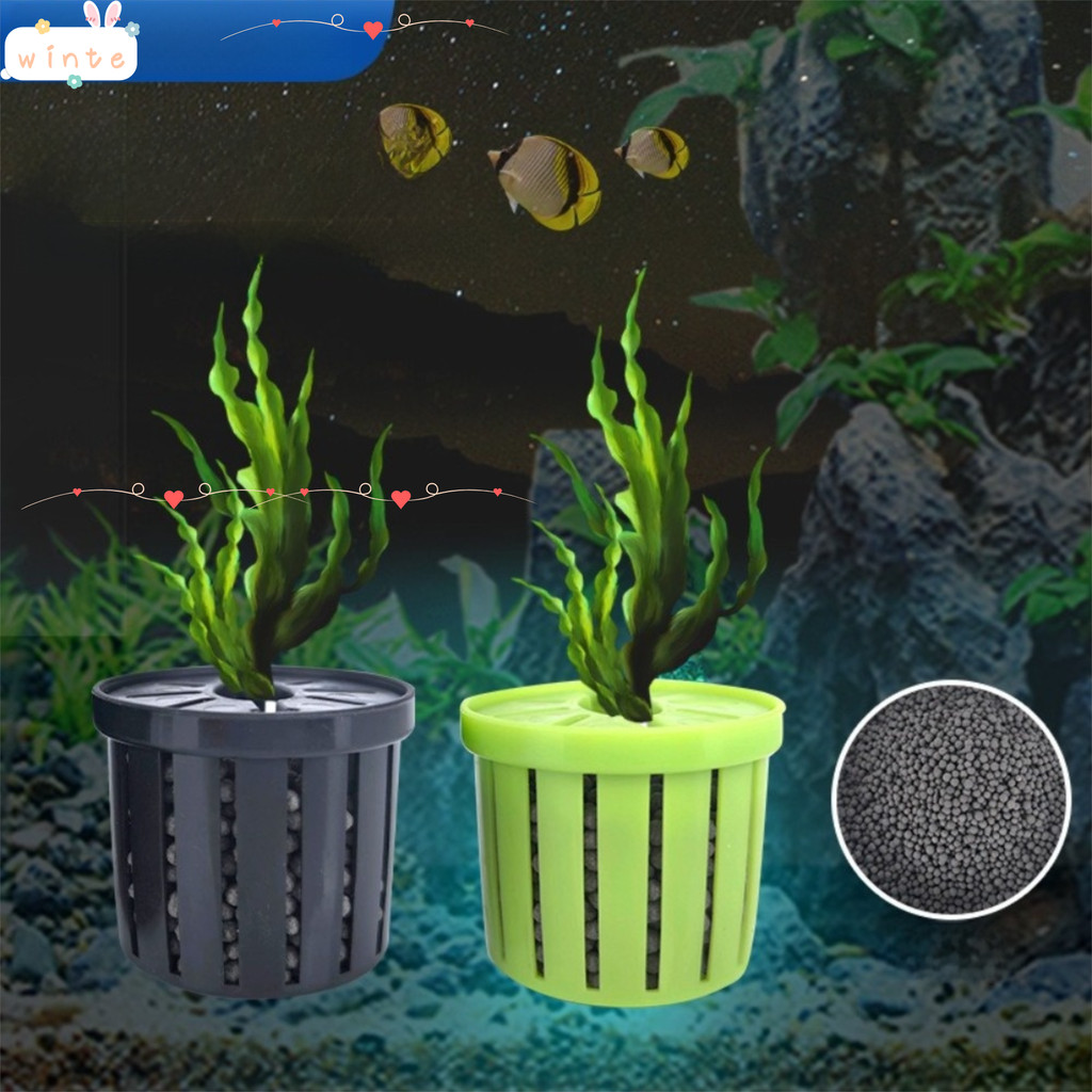 WINTE 4PCS Hanging Aquarium Plant Holder, Planted Tank Glass Pot Fish ...