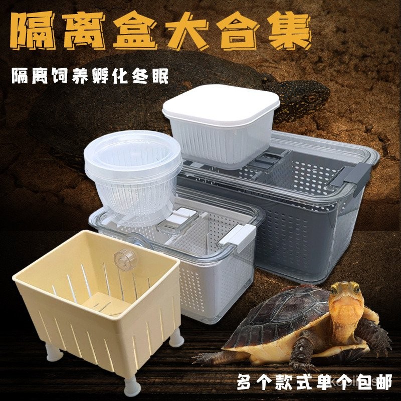 Isolation Box Turtle Seedling Hair Color Egg Turtle Terrapin Betta Tank ...