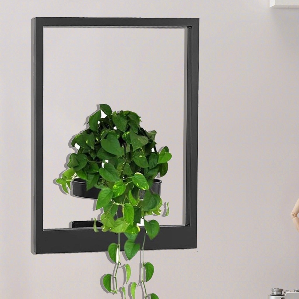 Plant Wall Hanger Picture Frame Live Plant Frames Wall Decor Stylish ...