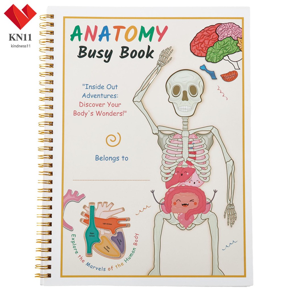 Human Anatomy Quiet Book Human Organ Match Quiet Book Preschool ...