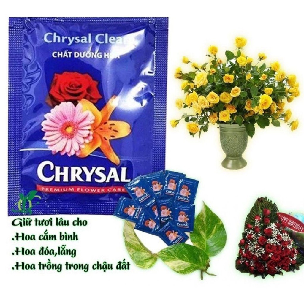 Long-lasting FRESH FLOWER CONDITIONER (1 Pack) | Shopee Singapore