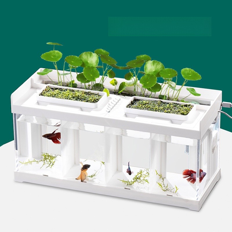 Creative Betta Tank Acrylic Desktop Ecological Fish Tank With Filter ...