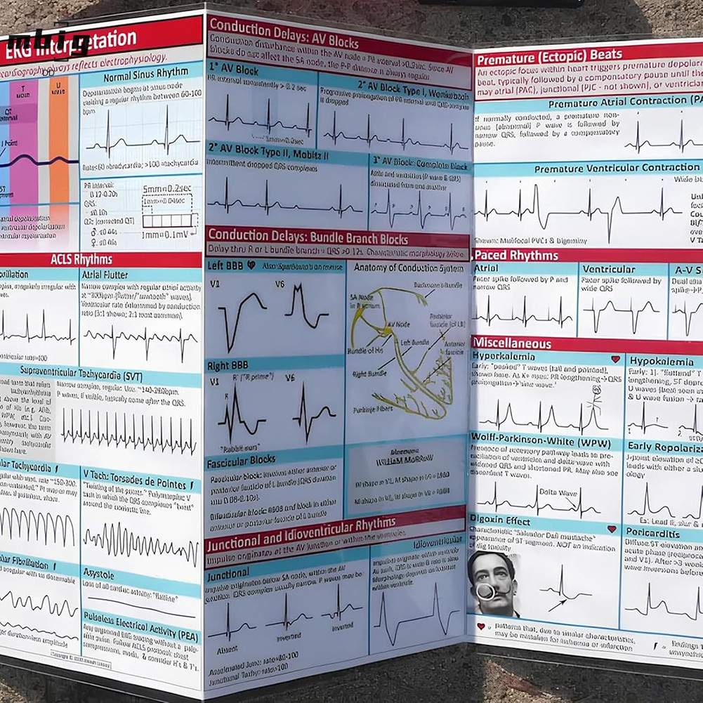 EKG Pocket Guide Double Sided Compact Portable Reference Card For ...