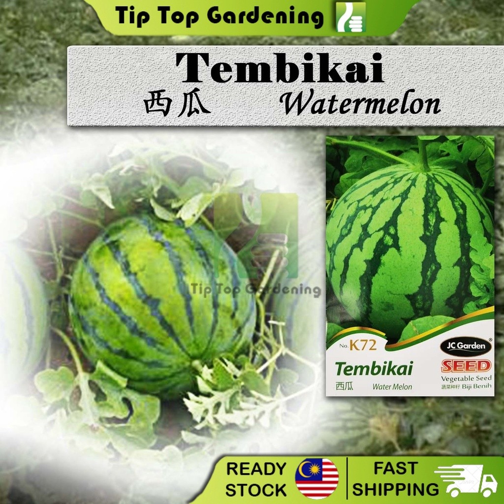 K72 WATER MELON JC GARDEN BIJI VEGETABLE SEED BIJI BENIH TEMBIOKAI ...