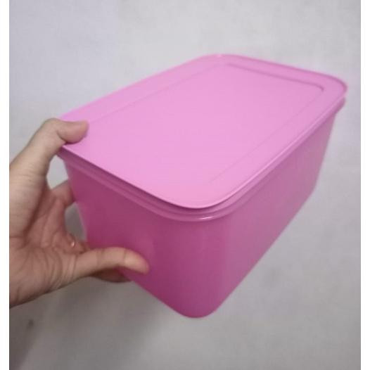 Tupperware Chill Freeze Set 450ml / 1.1L /170ml (1/2/4pcs) | Shopee ...