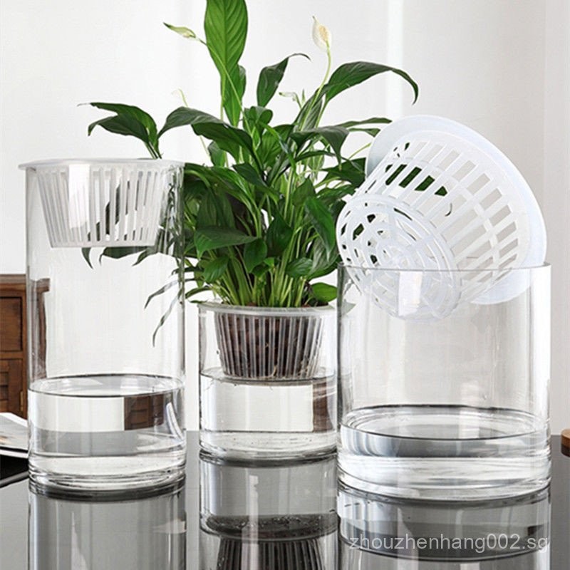 Hydroponic Plant Glass Bottle Transparent Straight Cylindrical Vase ...